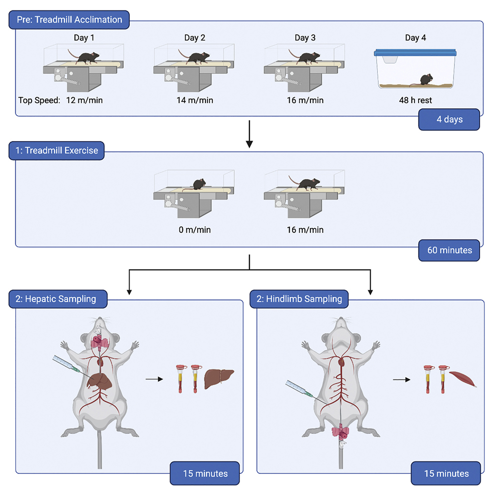 Cell Press: STAR Protocols