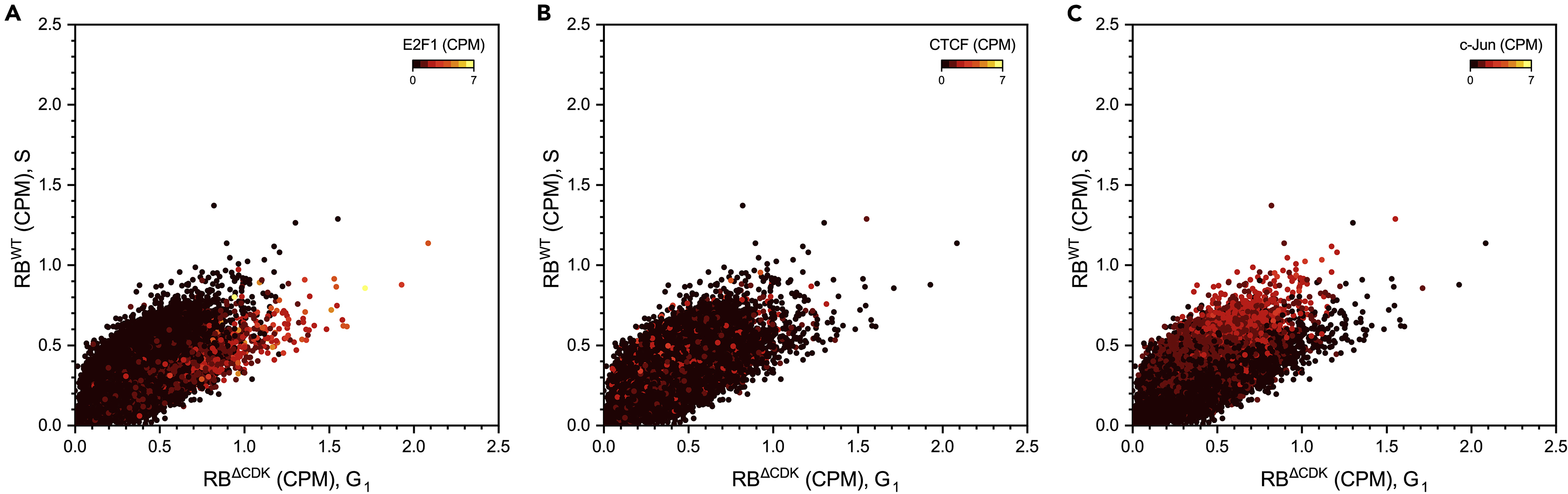 Cell Press: STAR Protocols