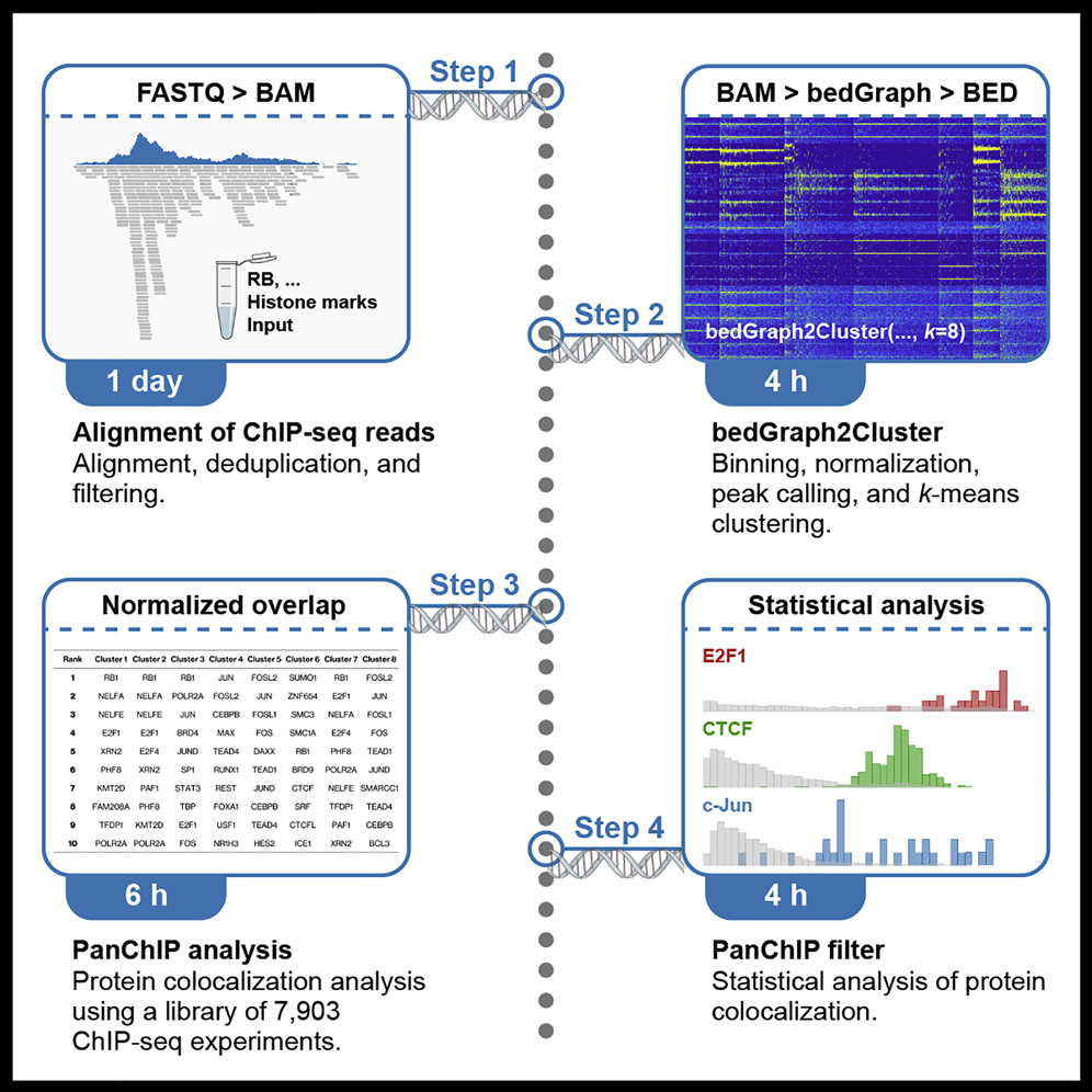 Cell Press: STAR Protocols
