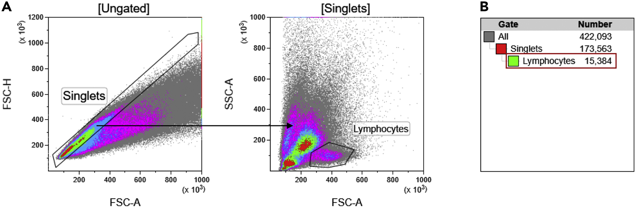 Cell Press: STAR Protocols
