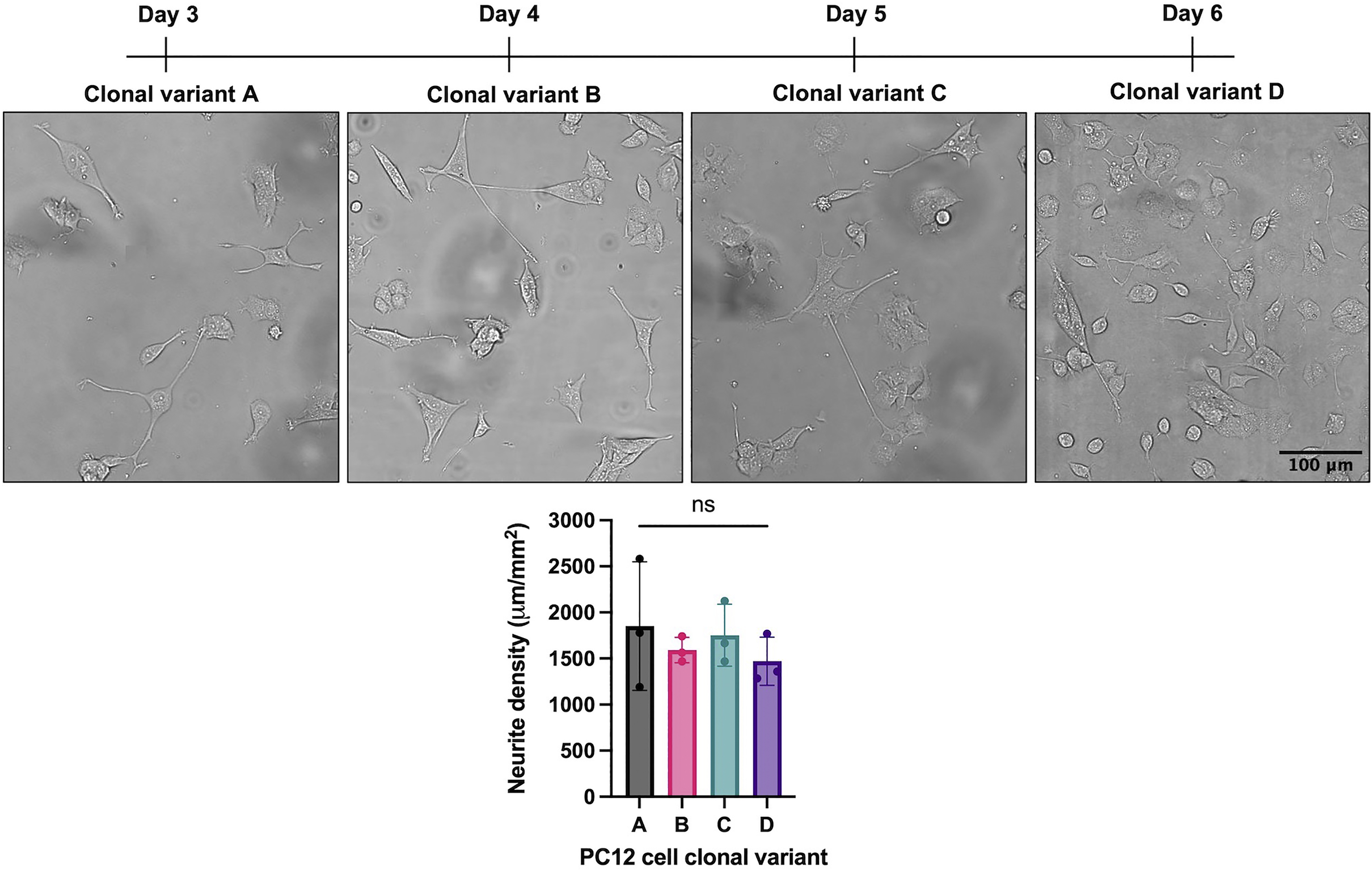 Cell Press: STAR Protocols