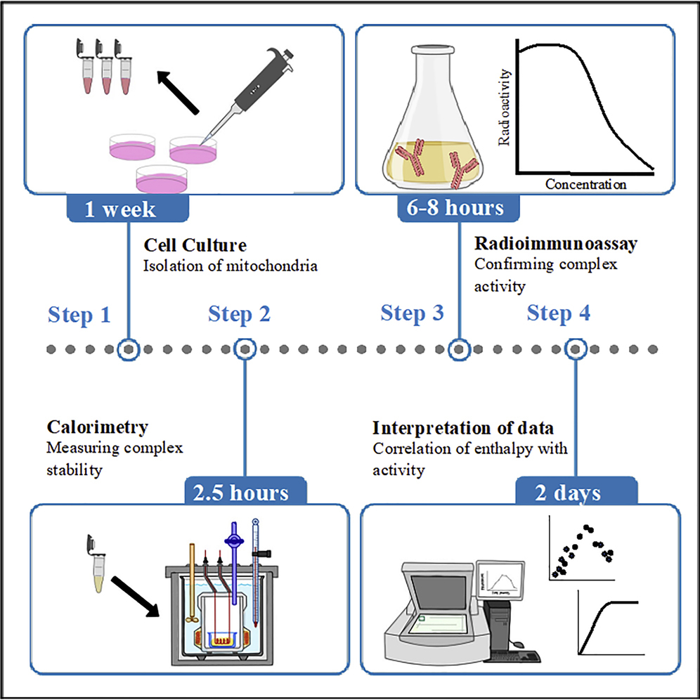 Cell Press: STAR Protocols