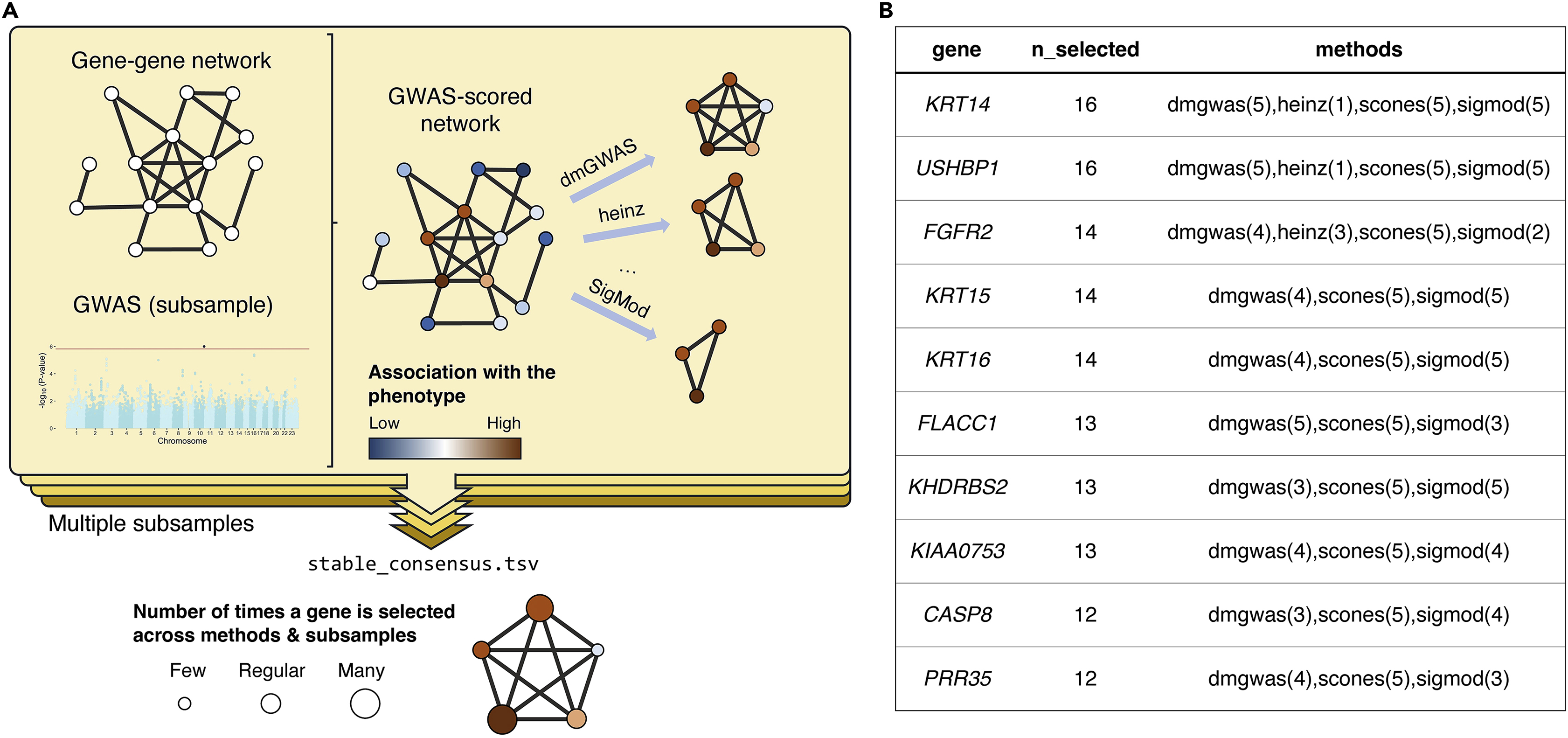 Cell Press: STAR Protocols