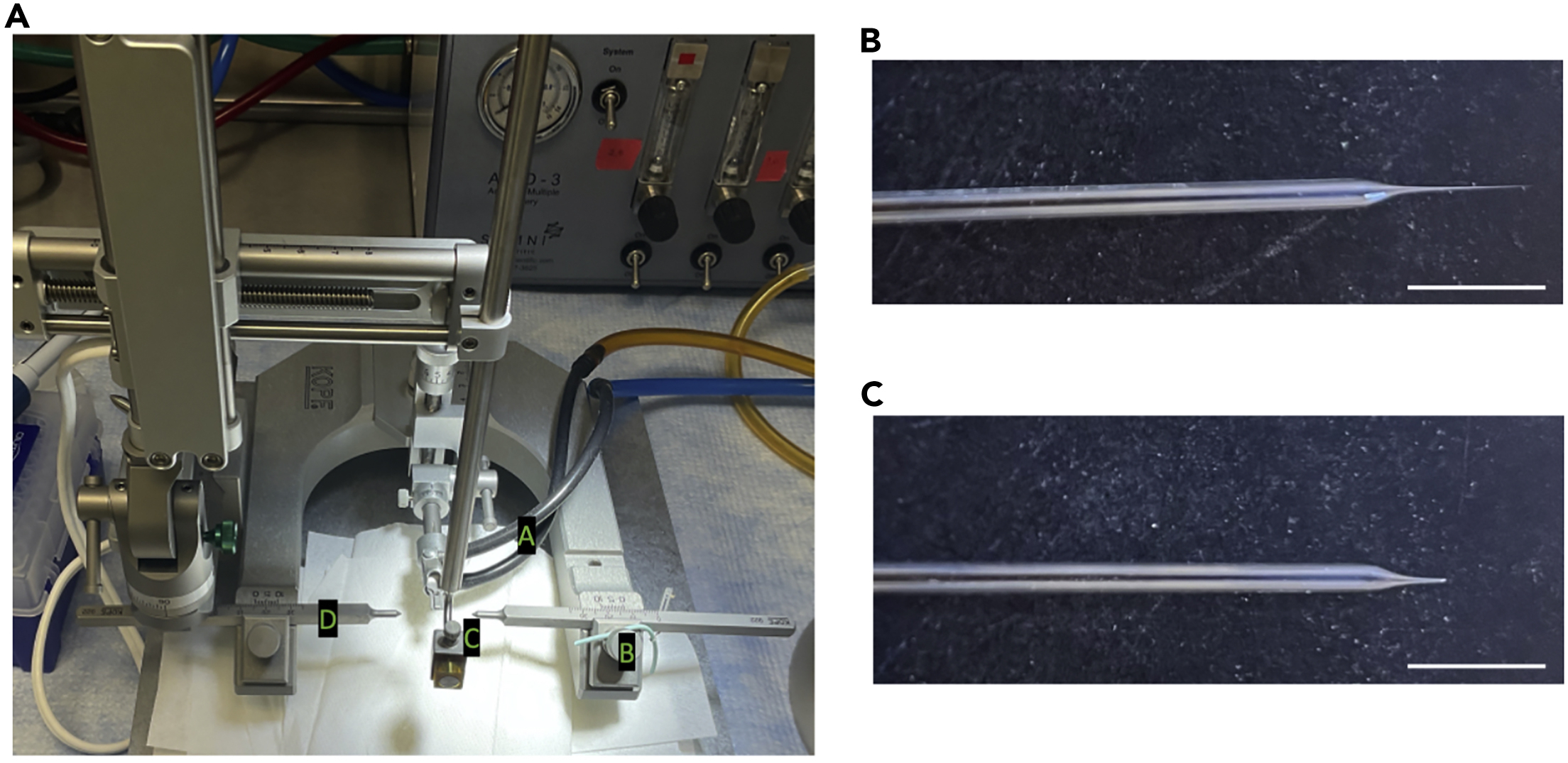 Cell Press: STAR Protocols