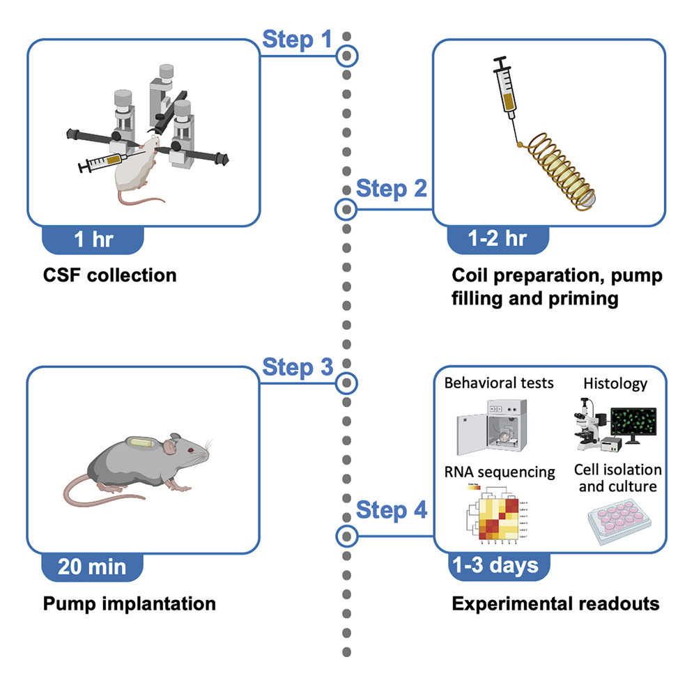Cell Press: STAR Protocols