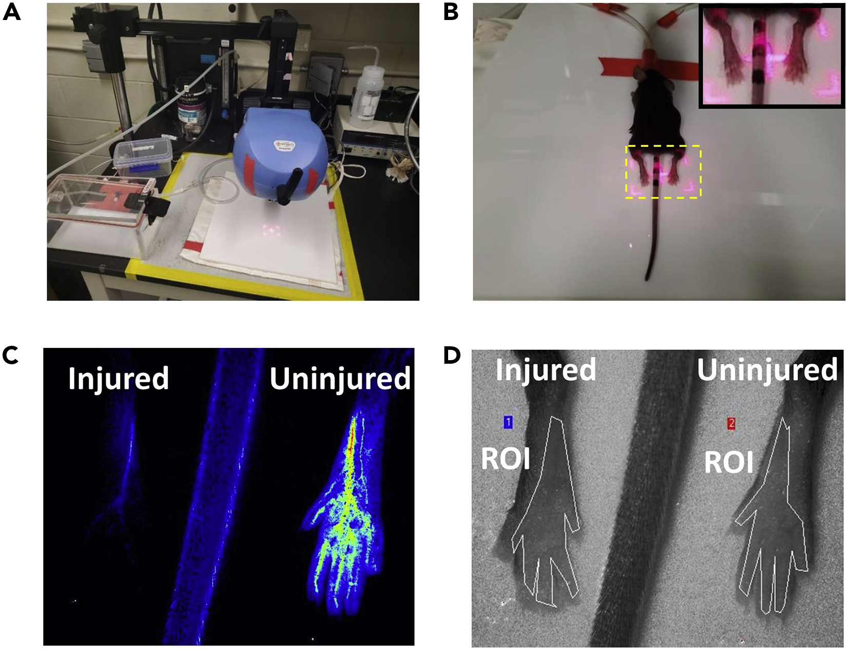Cell Press: STAR Protocols