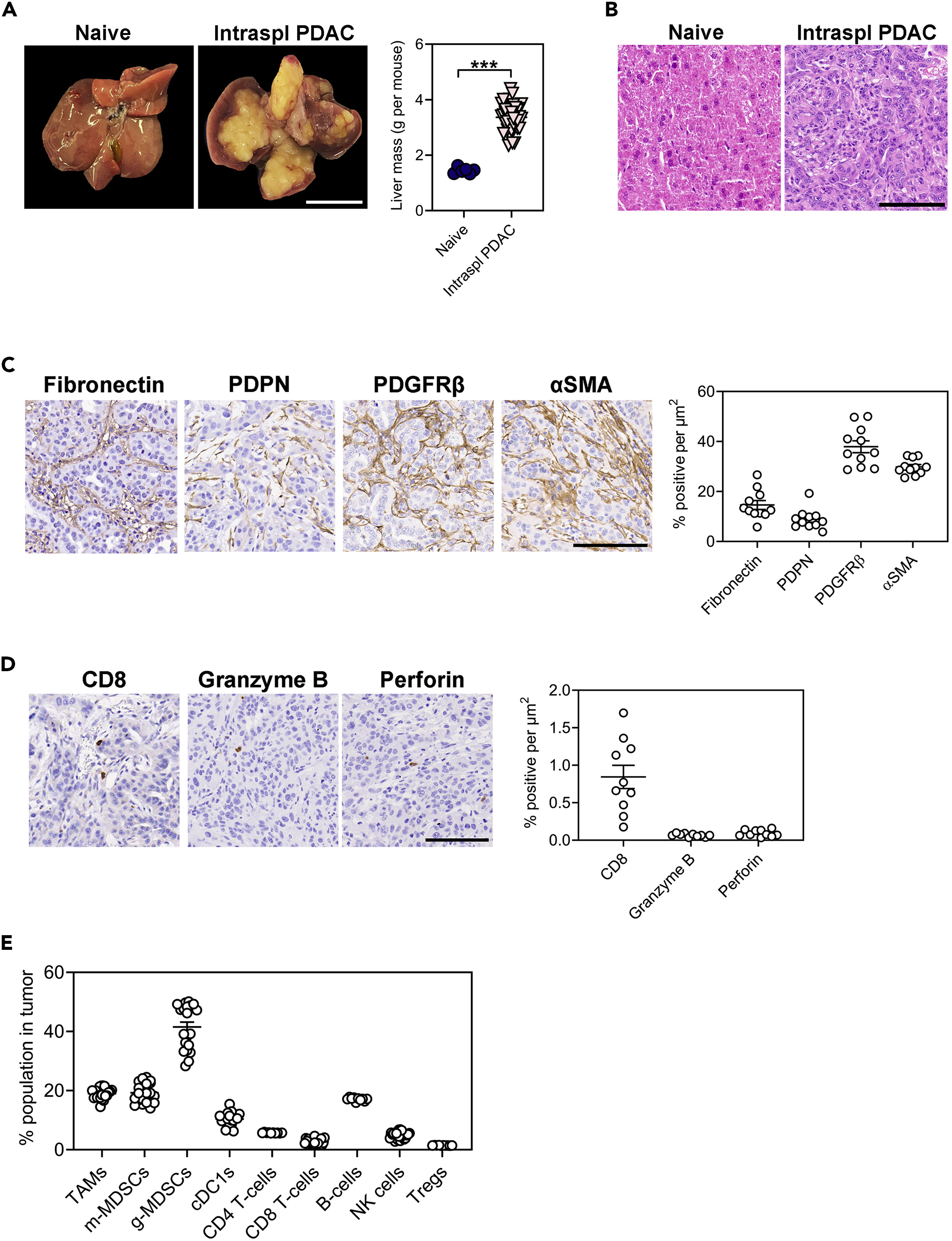 Cell Press: STAR Protocols