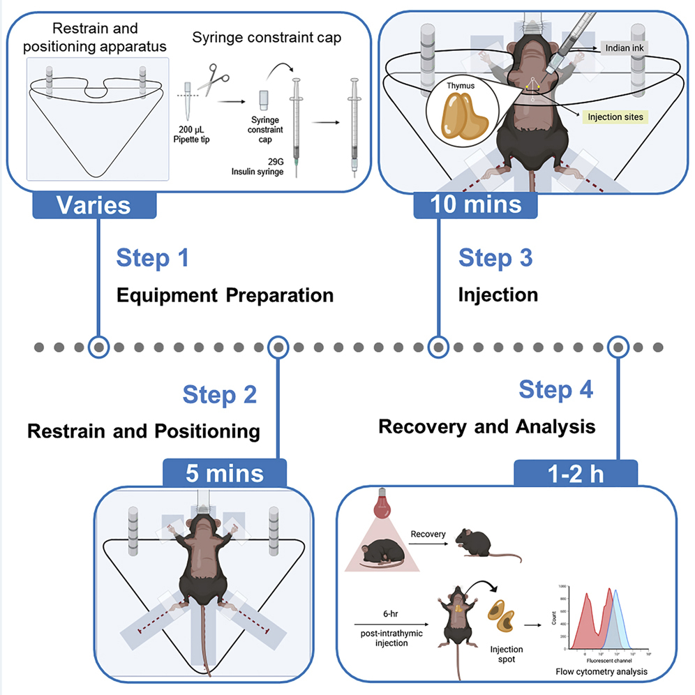 Cell Press: STAR Protocols