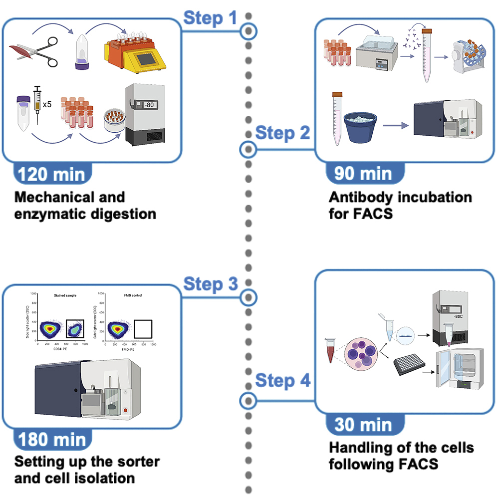 Cell Press: STAR Protocols