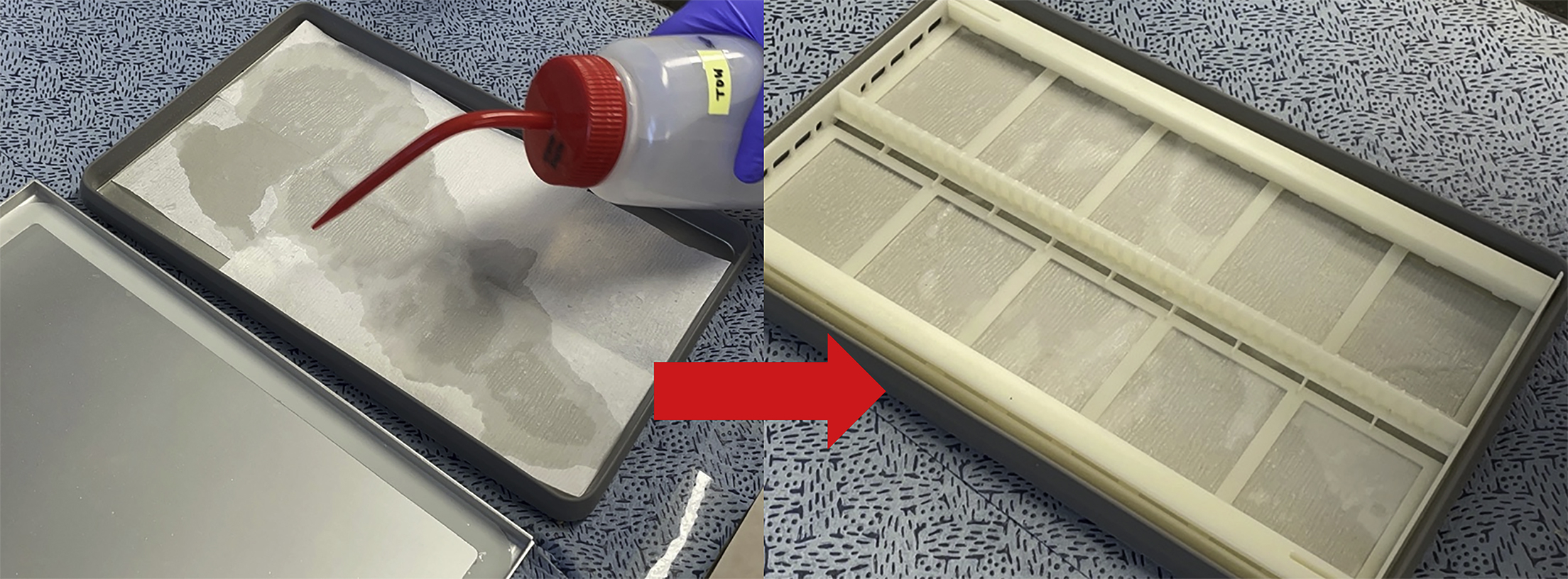 Cell Press: STAR Protocols