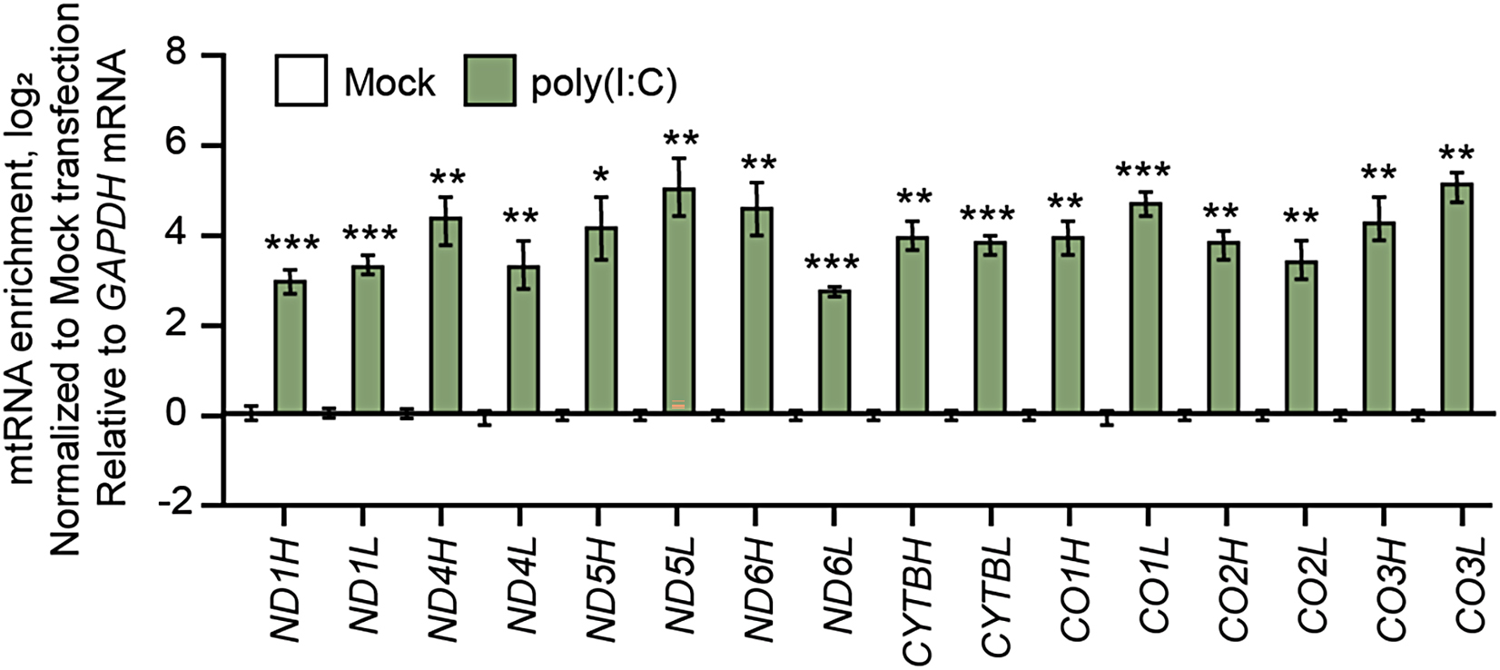 Cell Press: STAR Protocols