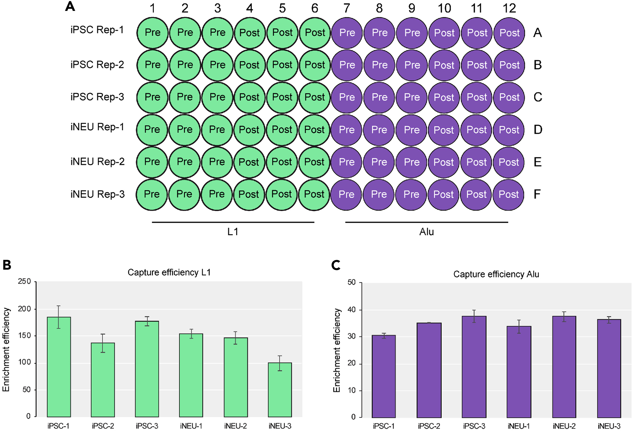 Cell Press: STAR Protocols
