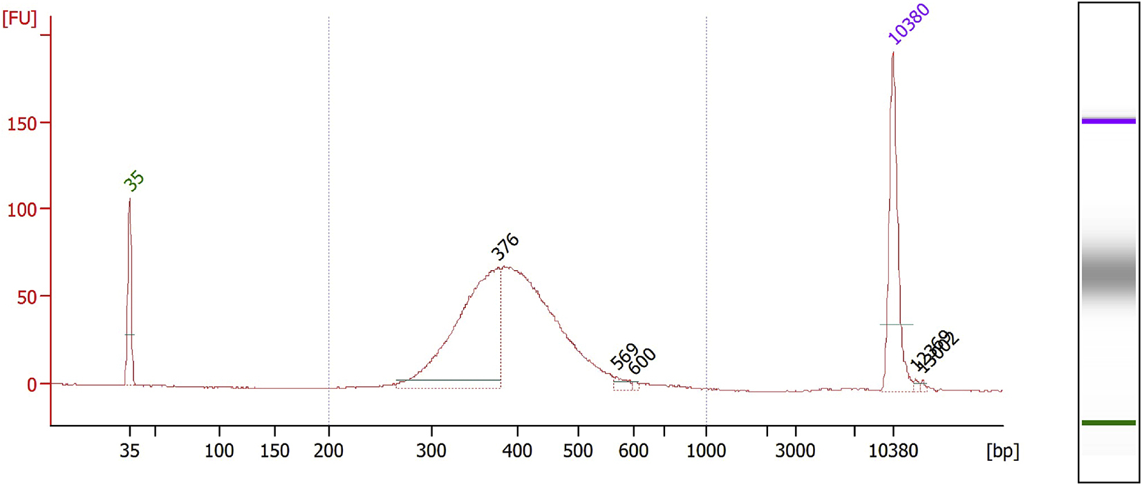 Cell Press: STAR Protocols