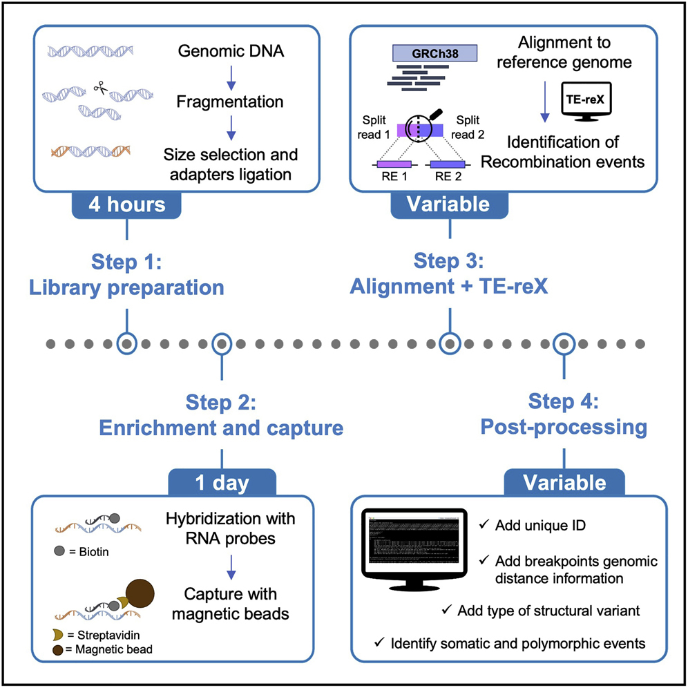 Cell Press: STAR Protocols