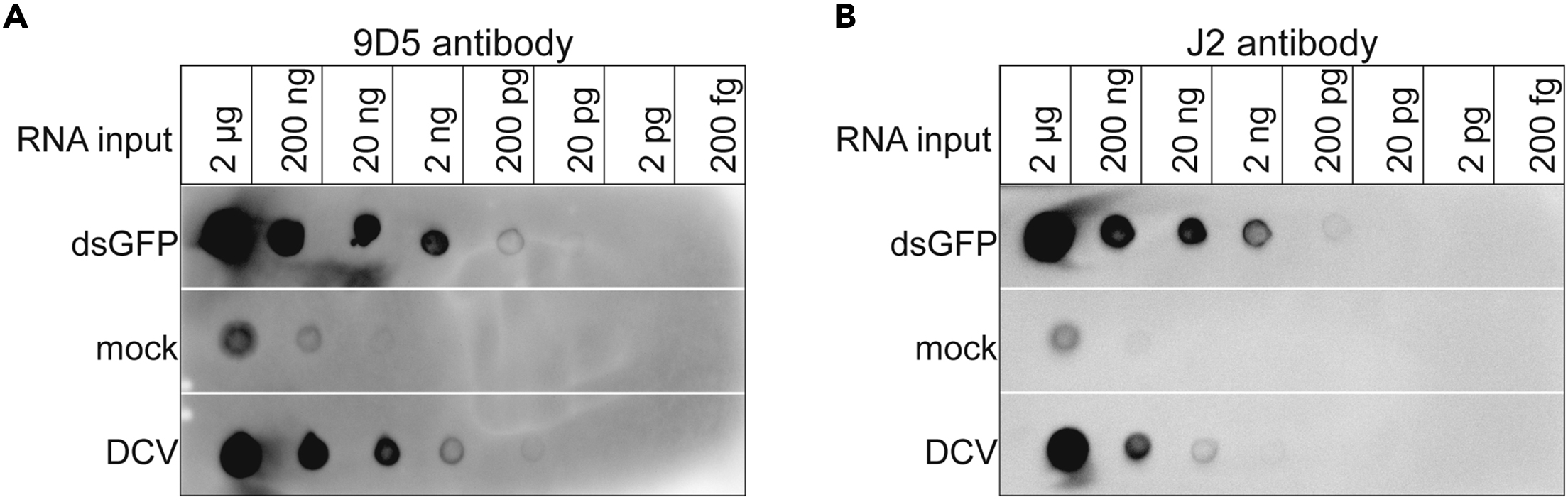 Cell Press: STAR Protocols
