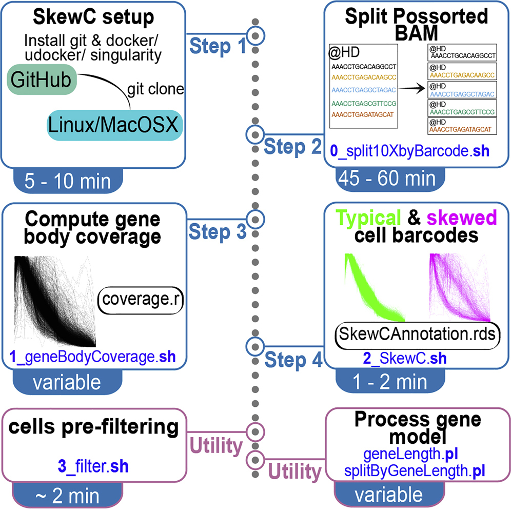 Cell Press: STAR Protocols