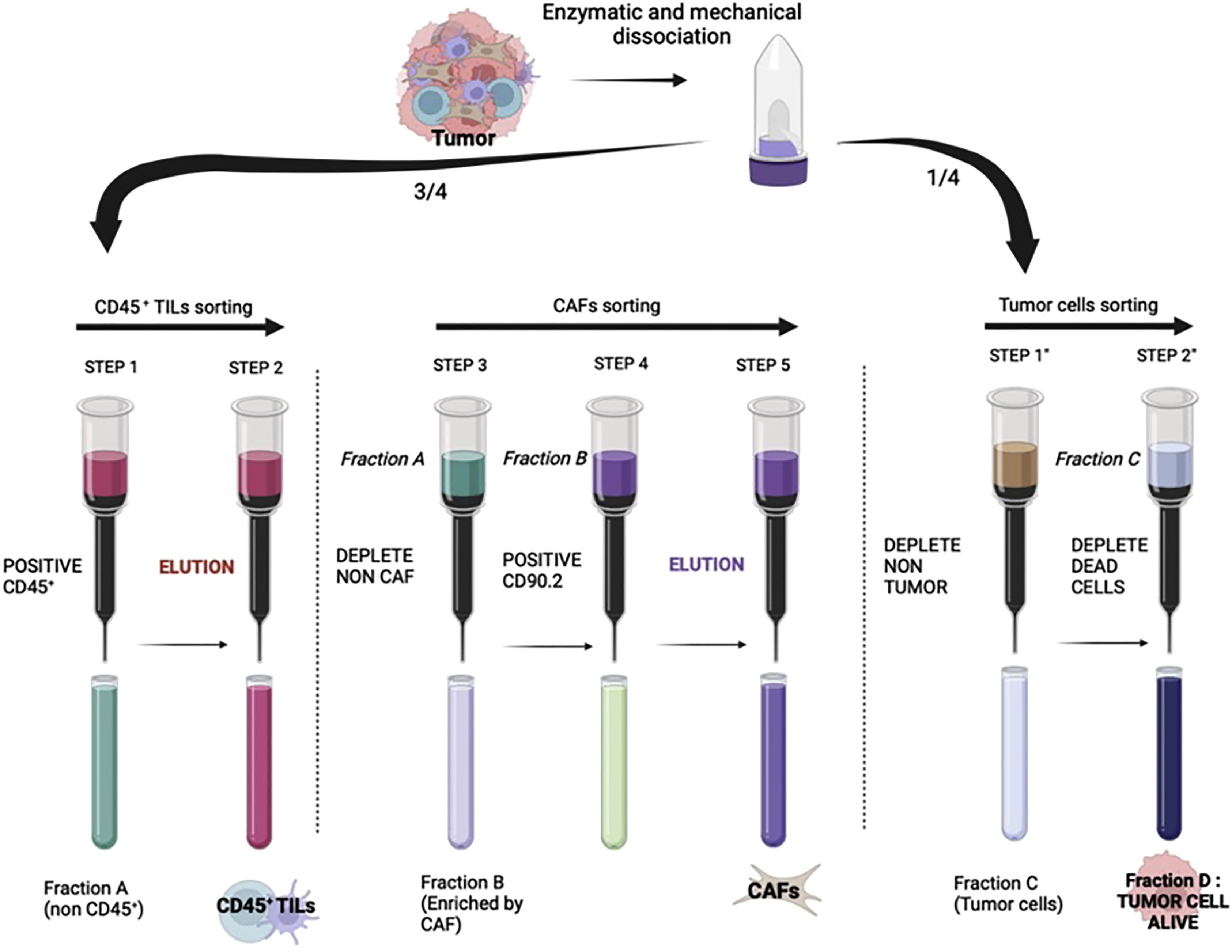 Cell Press: STAR Protocols