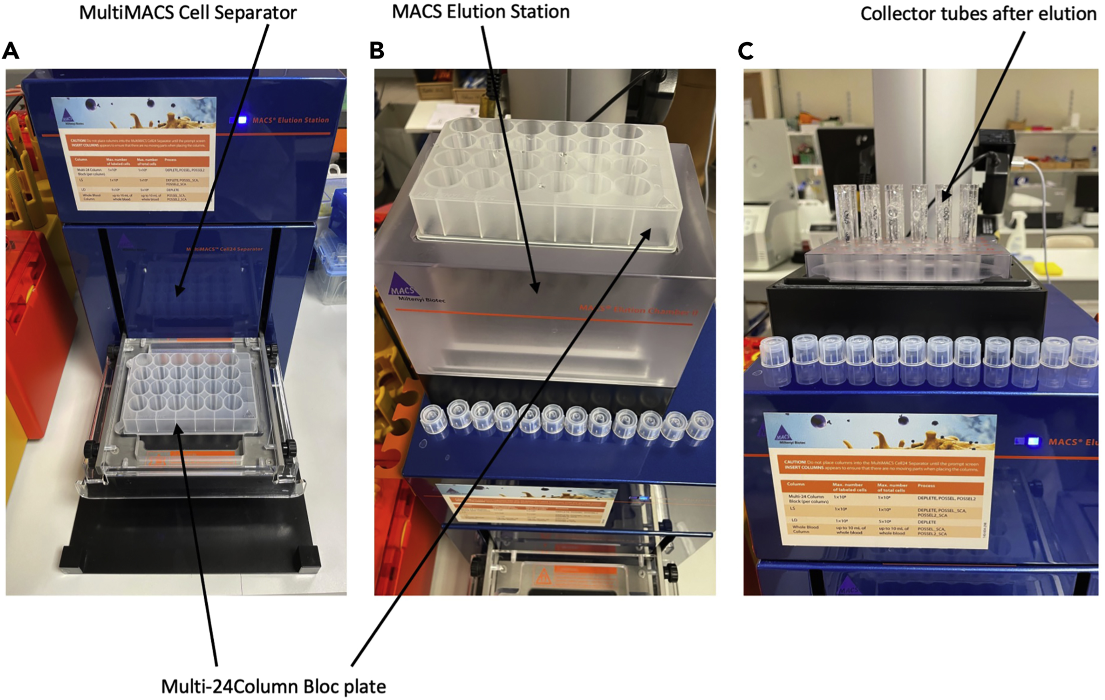 Cell Press: STAR Protocols