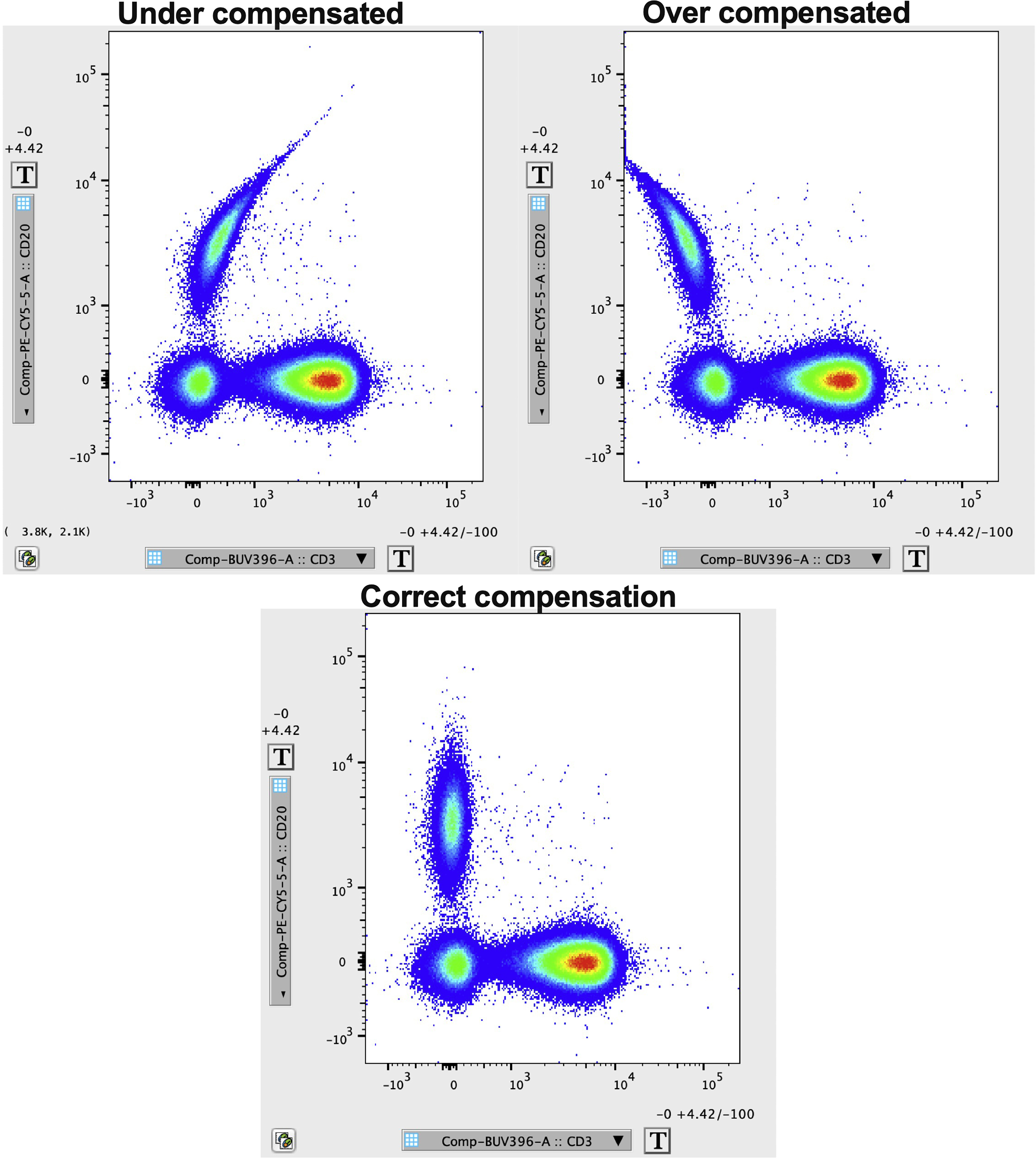 Cell Press: STAR Protocols