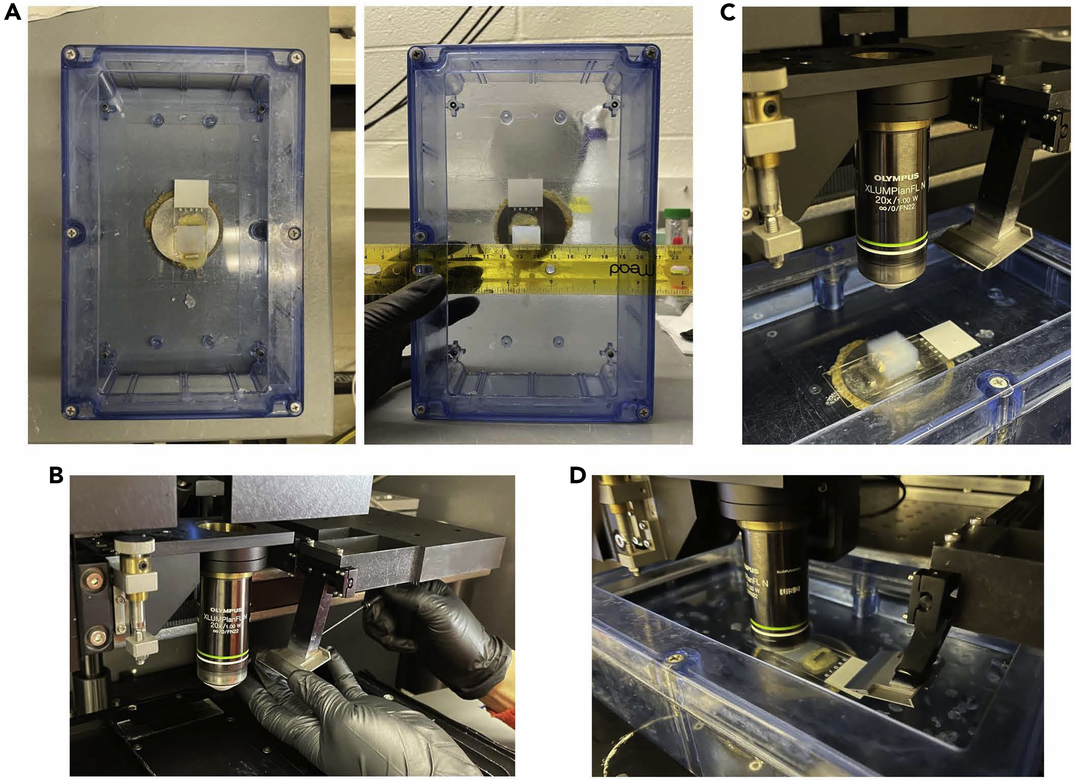 Cell Press: STAR Protocols