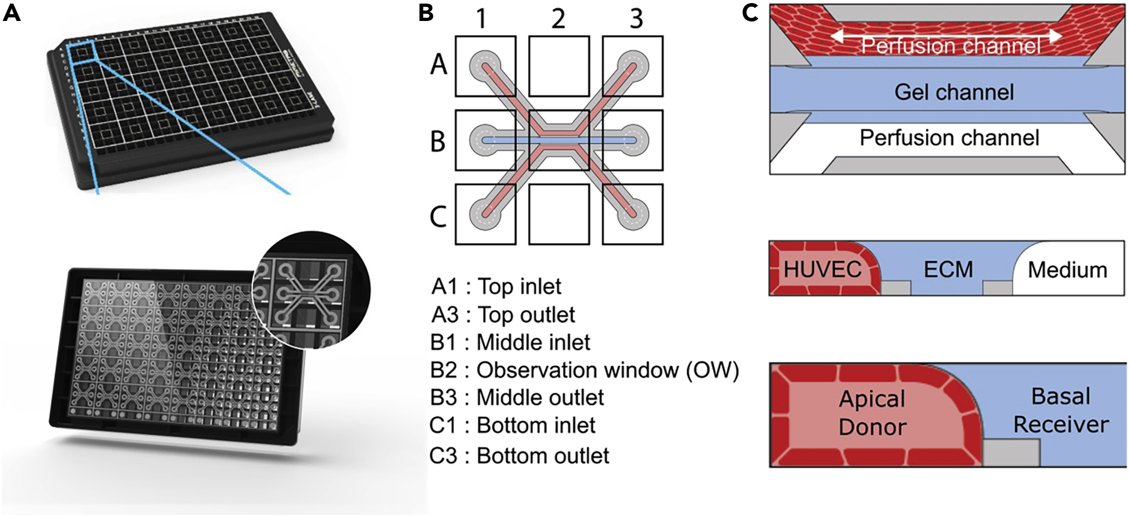 Cell Press: STAR Protocols