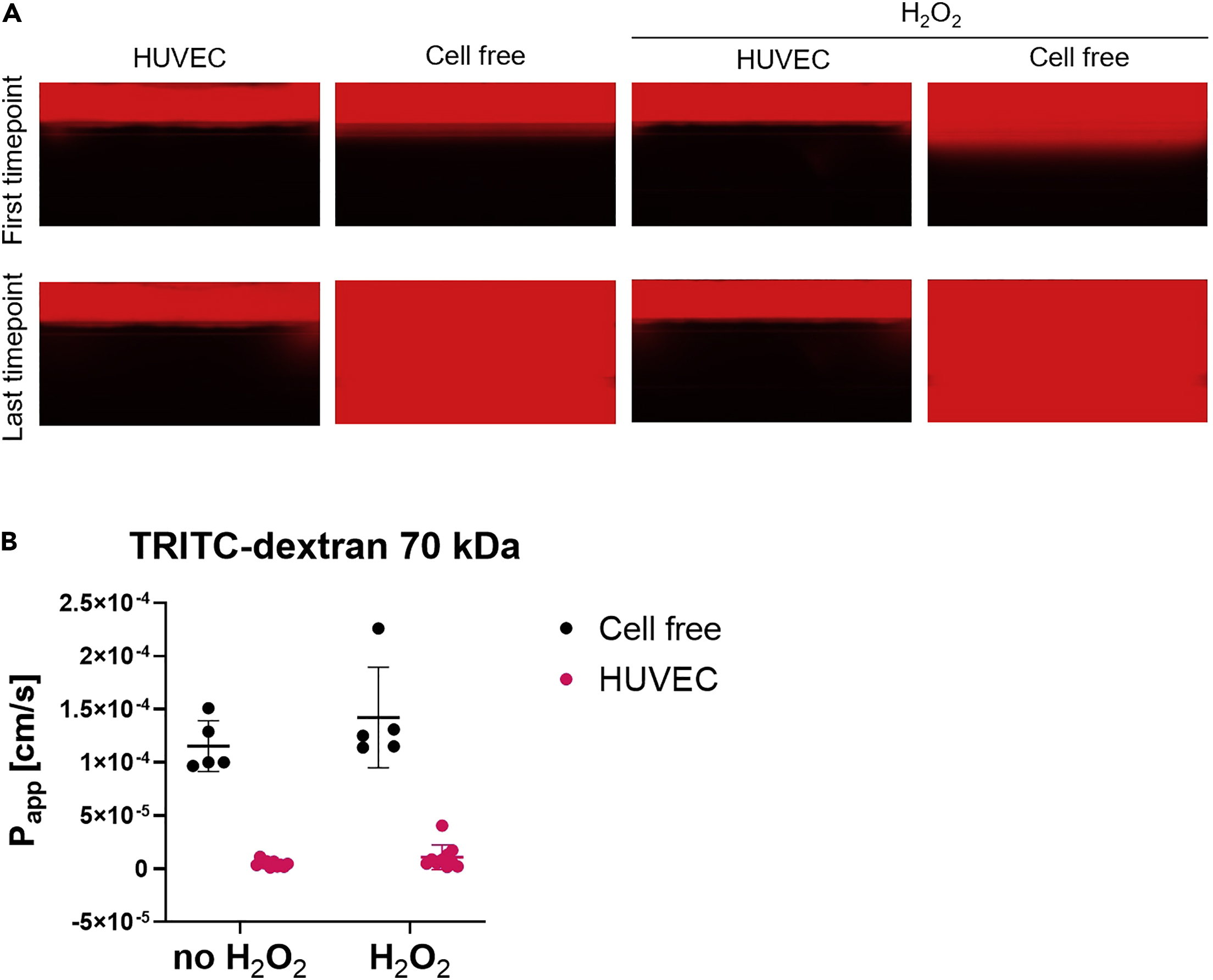 Cell Press: STAR Protocols