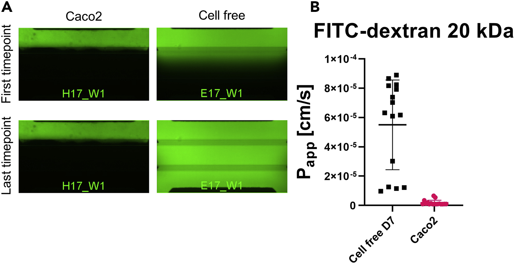 Cell Press: STAR Protocols
