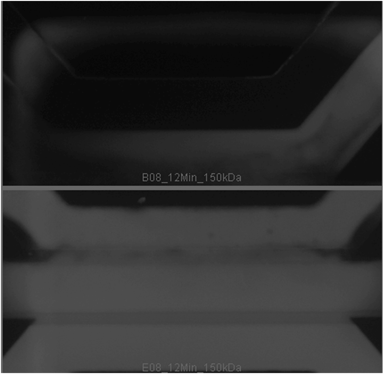 Cell Press: STAR Protocols