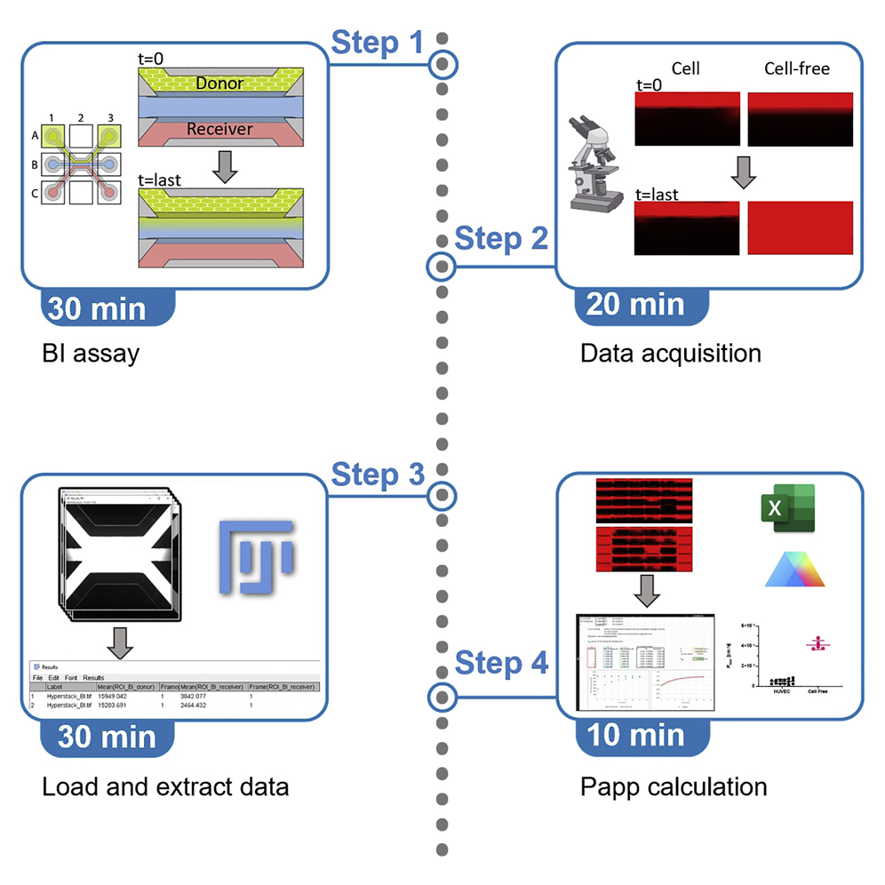 Cell Press: STAR Protocols