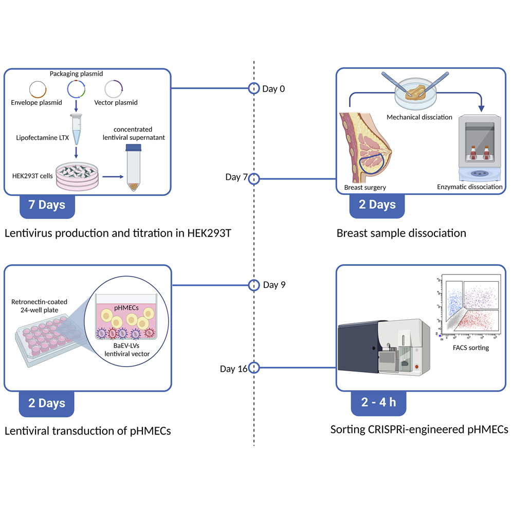 Cell Press: STAR Protocols