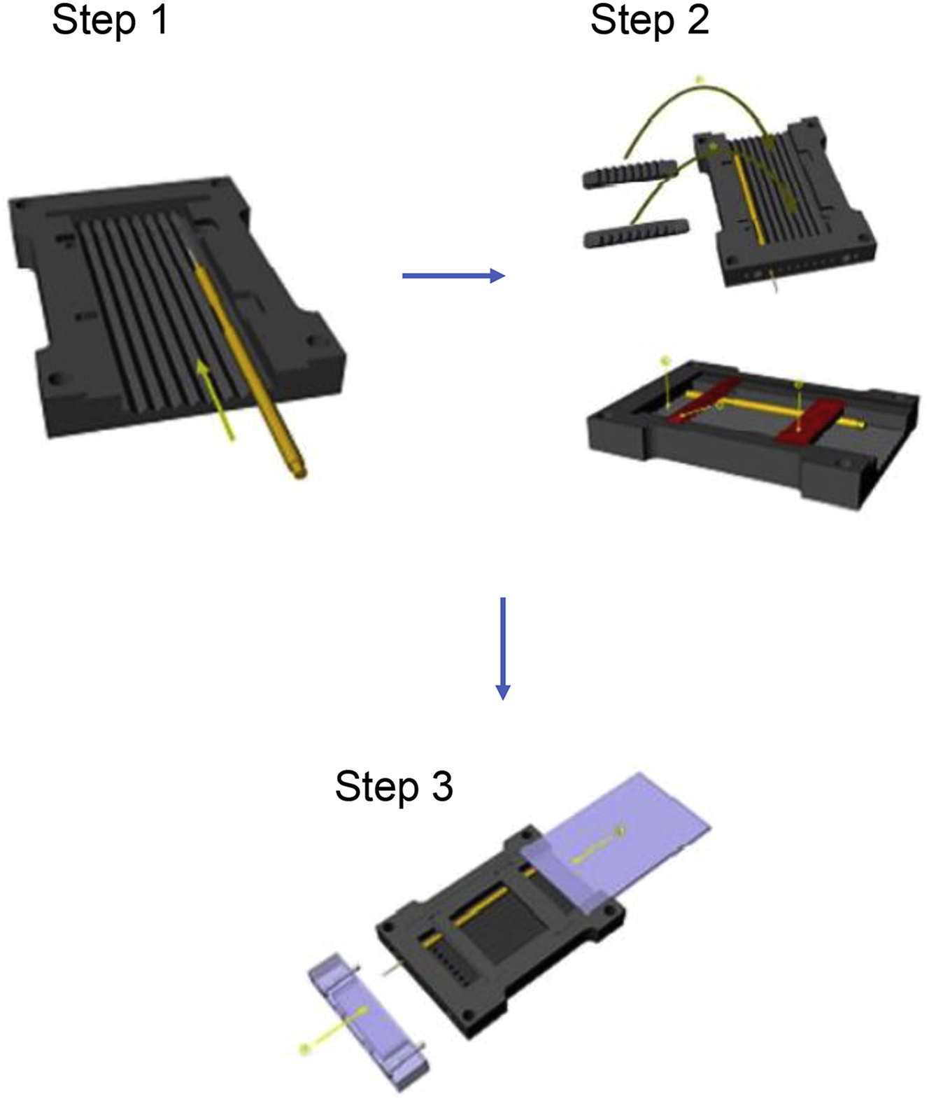 Cell Press: STAR Protocols
