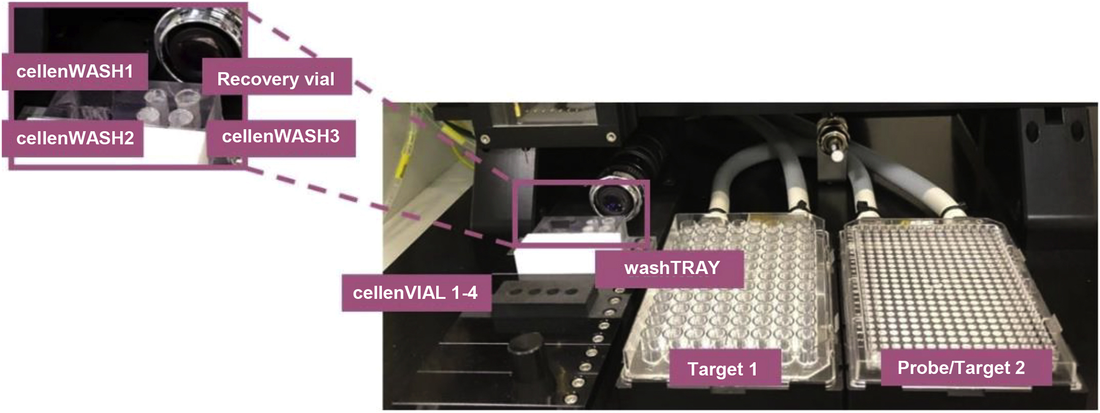 Cell Press: STAR Protocols