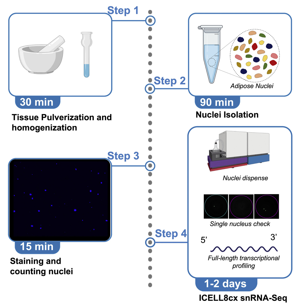 Cell Press: STAR Protocols