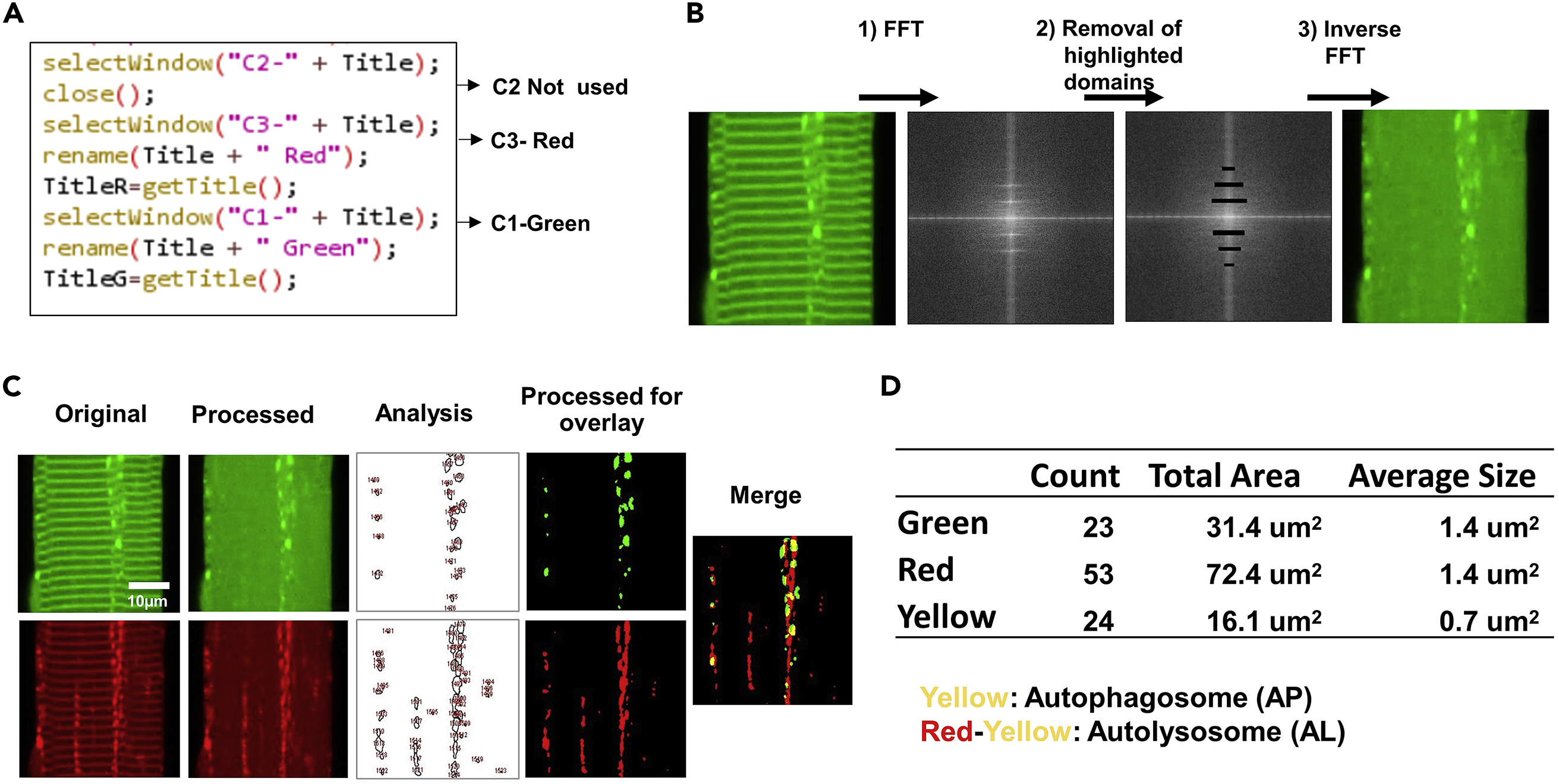 Cell Press: STAR Protocols