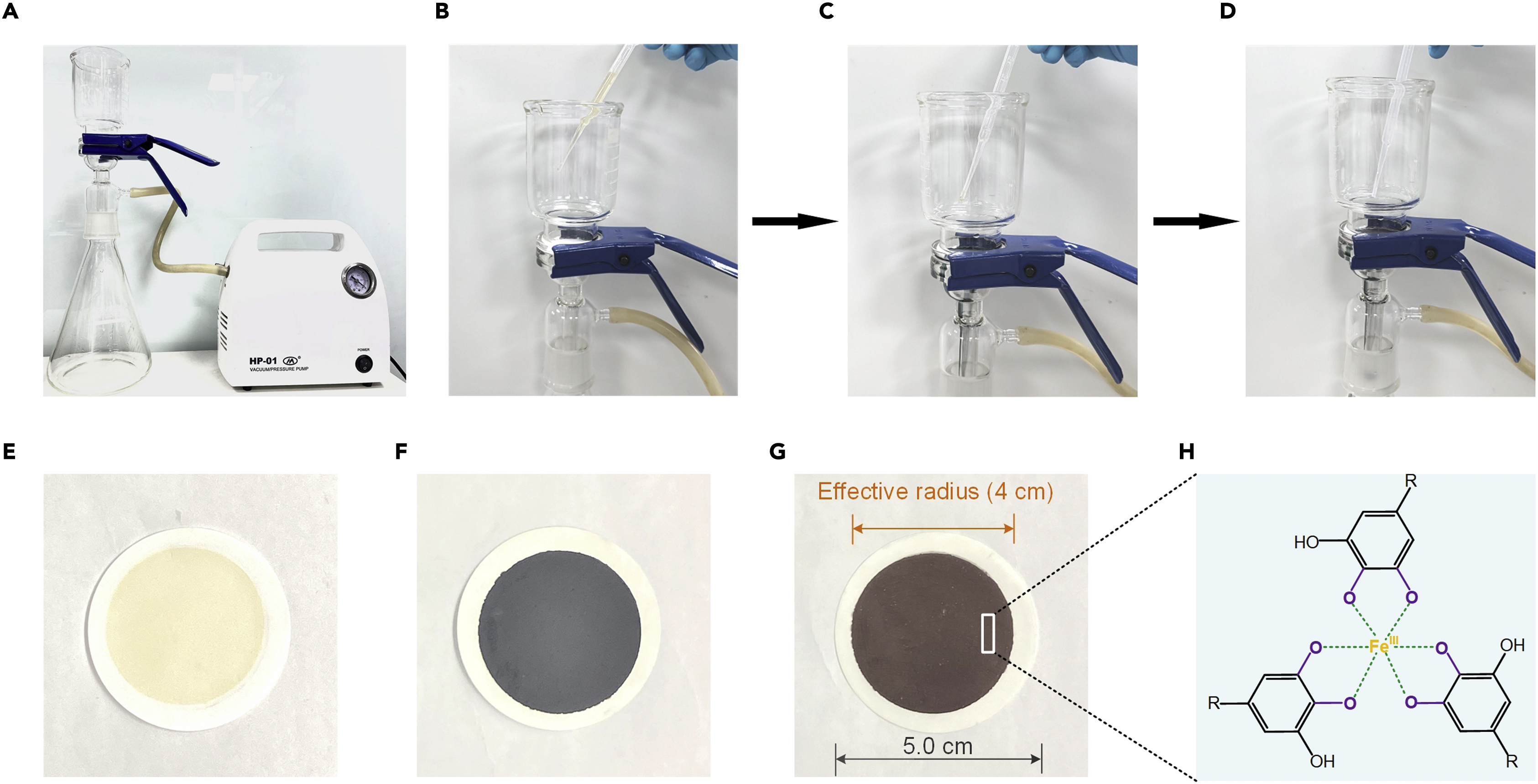 Cell Press: STAR Protocols