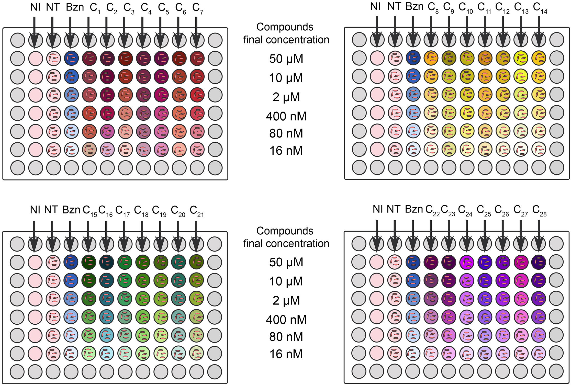 Cell Press: STAR Protocols