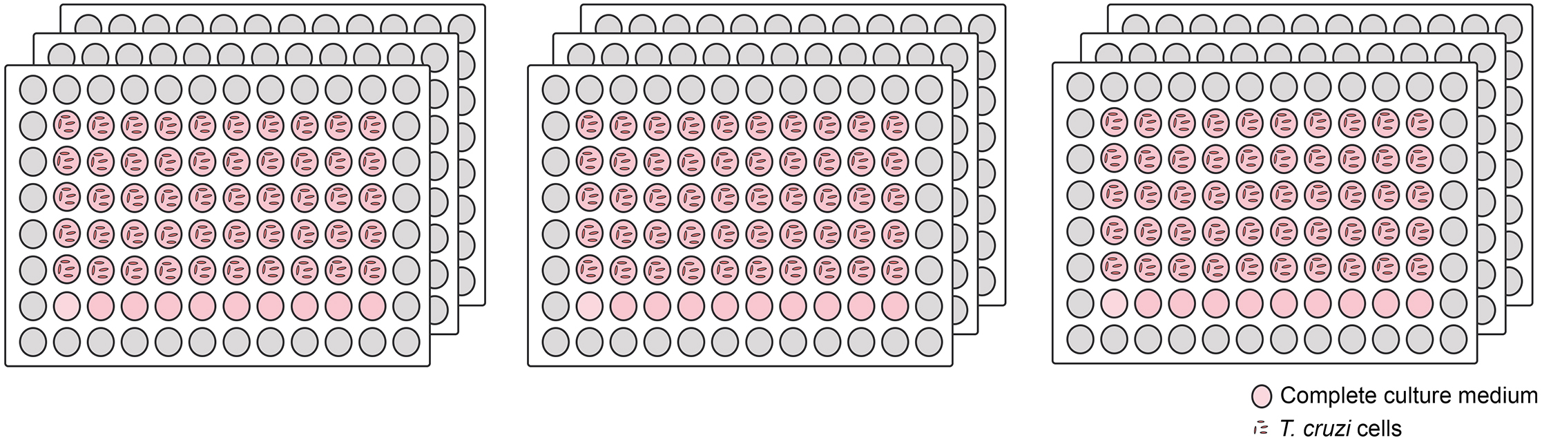 Cell Press: STAR Protocols