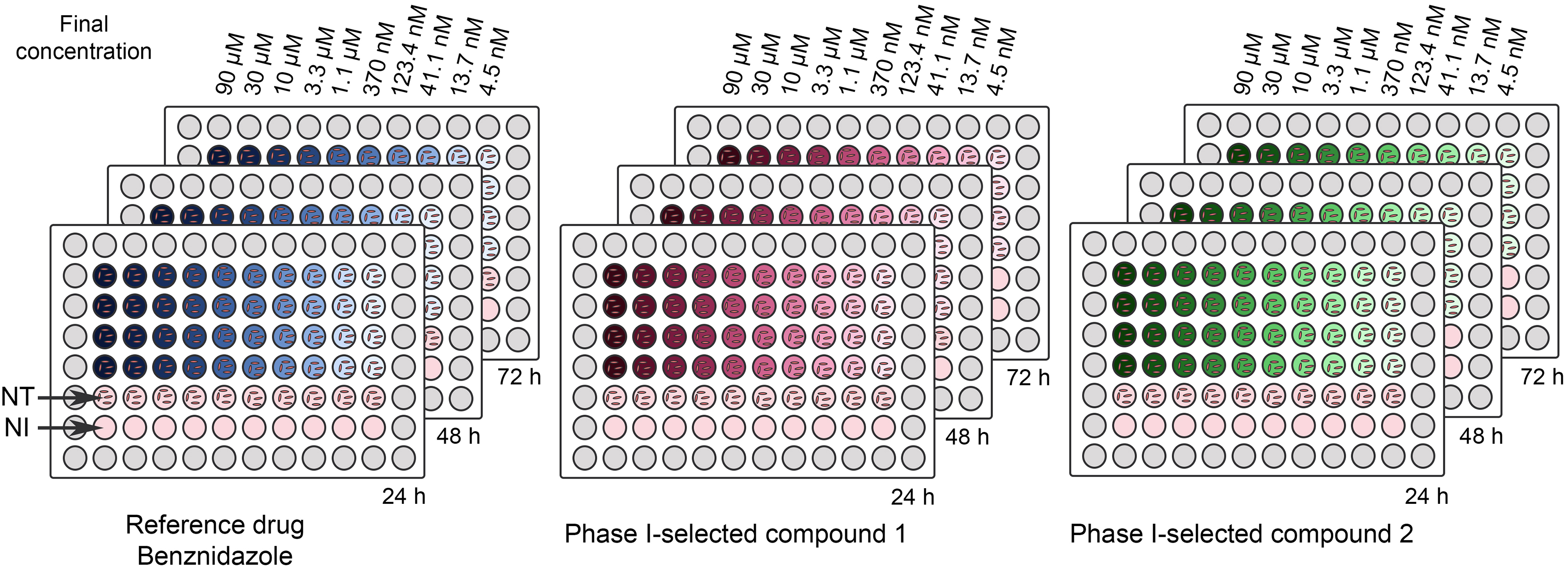Cell Press: STAR Protocols