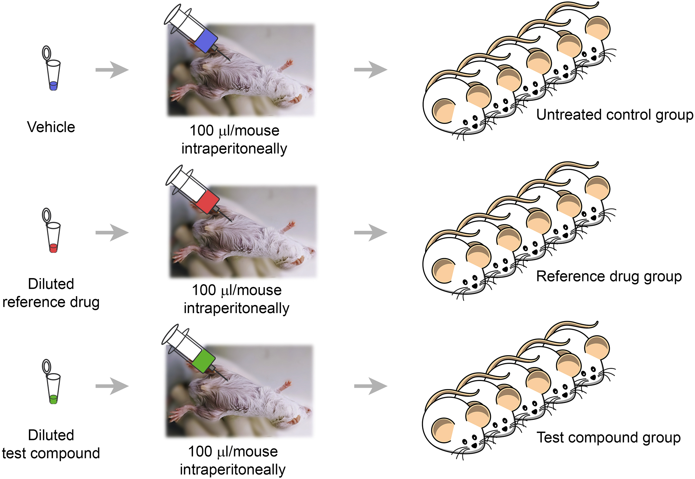 Cell Press: STAR Protocols