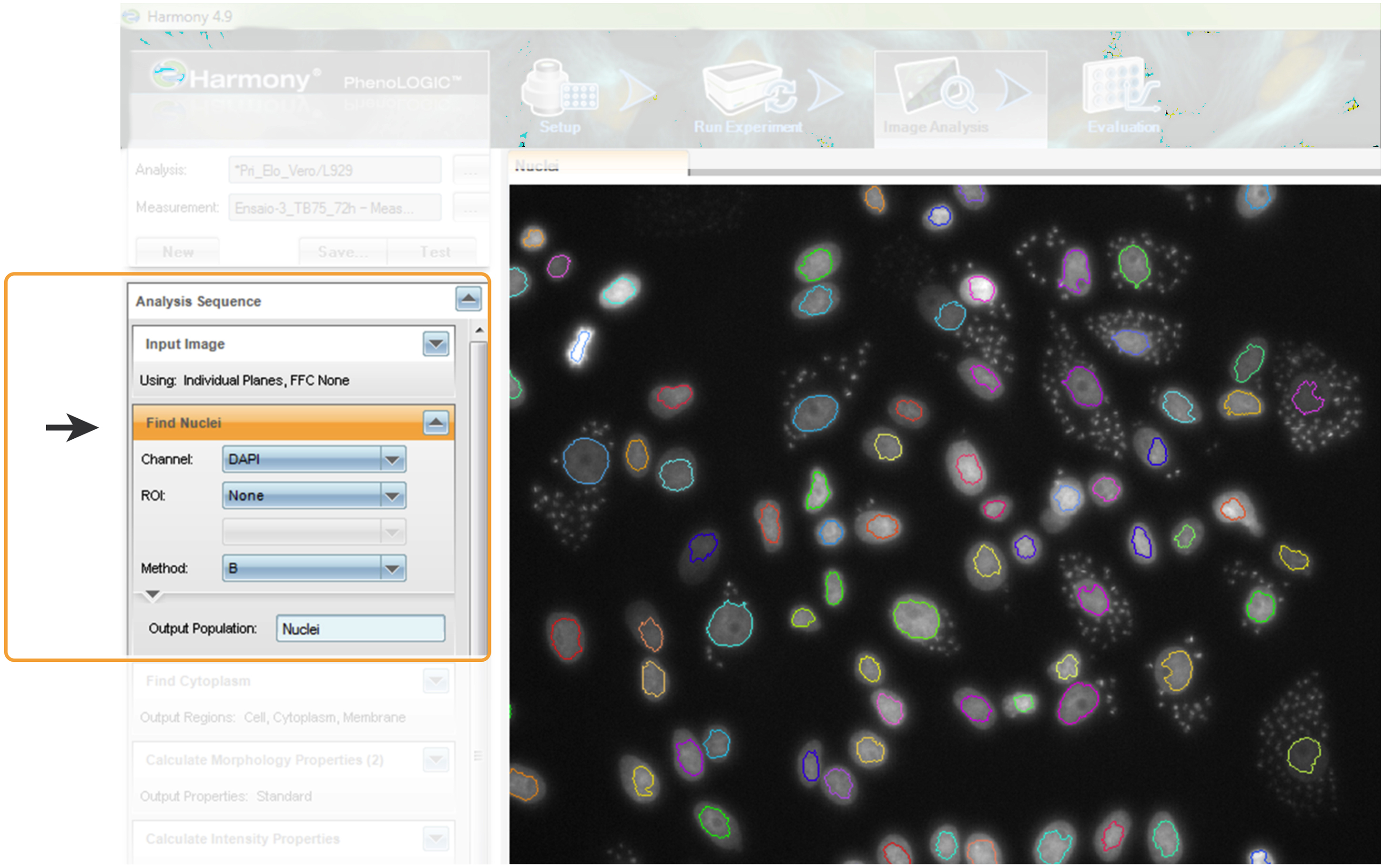 Cell Press: STAR Protocols