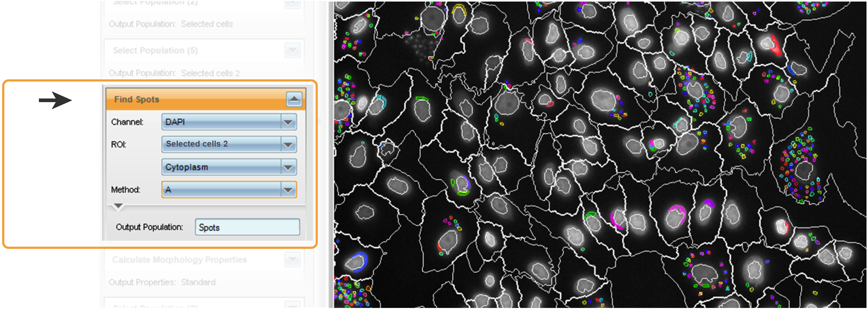 Cell Press: STAR Protocols