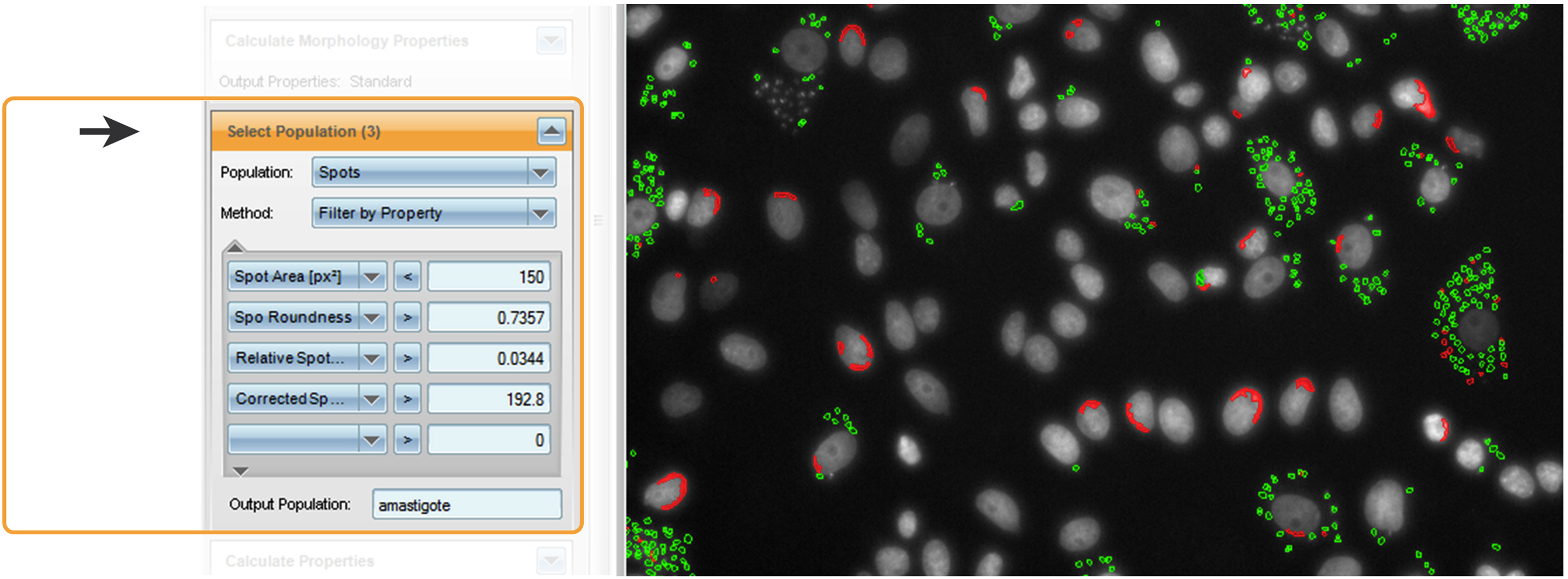 Cell Press: STAR Protocols