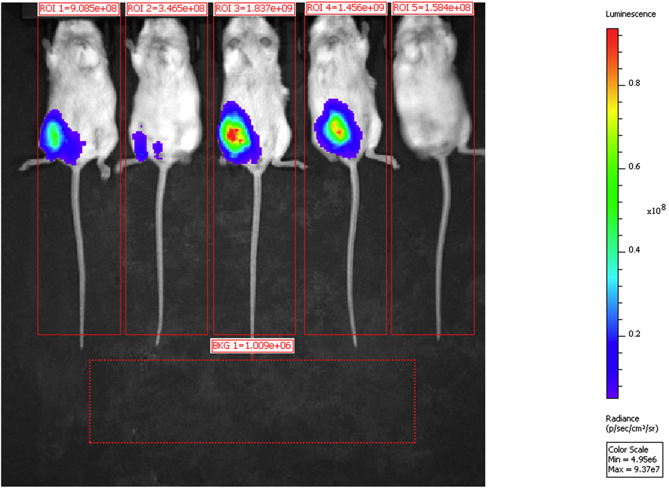 Cell Press: STAR Protocols