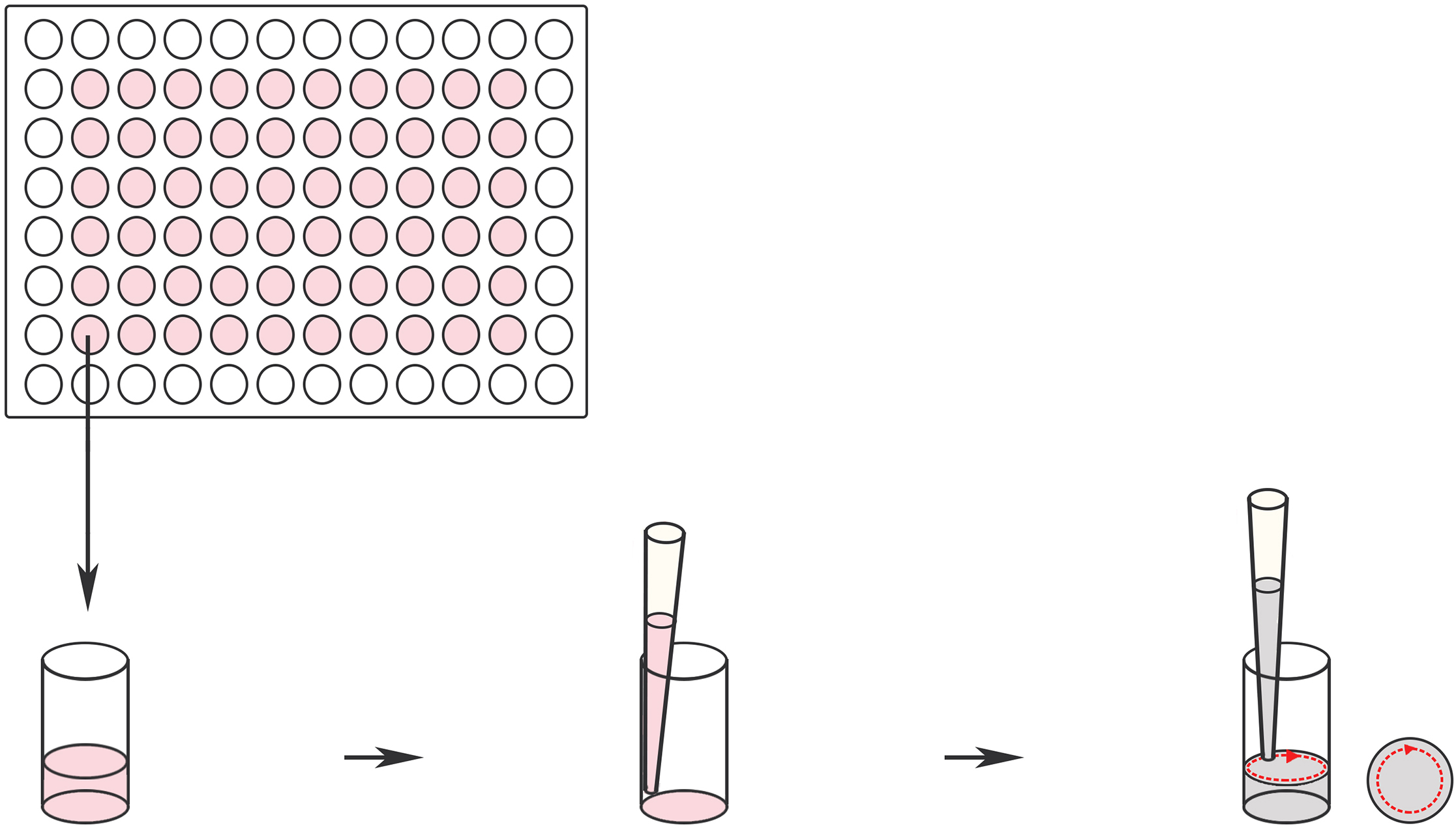 Cell Press: STAR Protocols