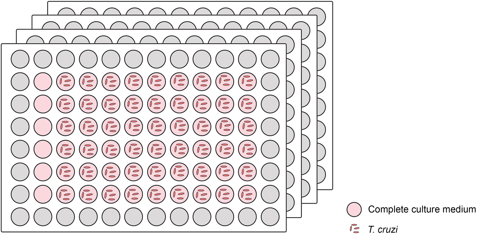 Cell Press: STAR Protocols