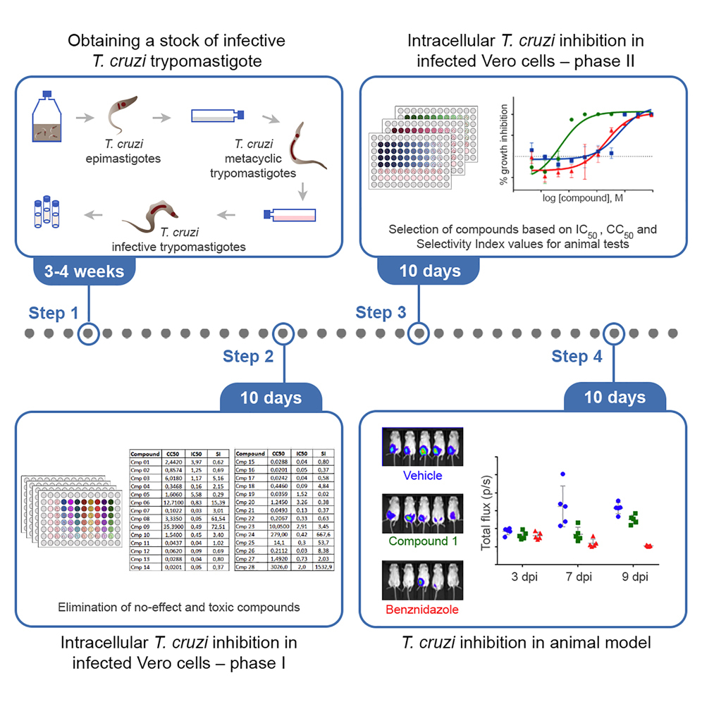 Cell Press: STAR Protocols