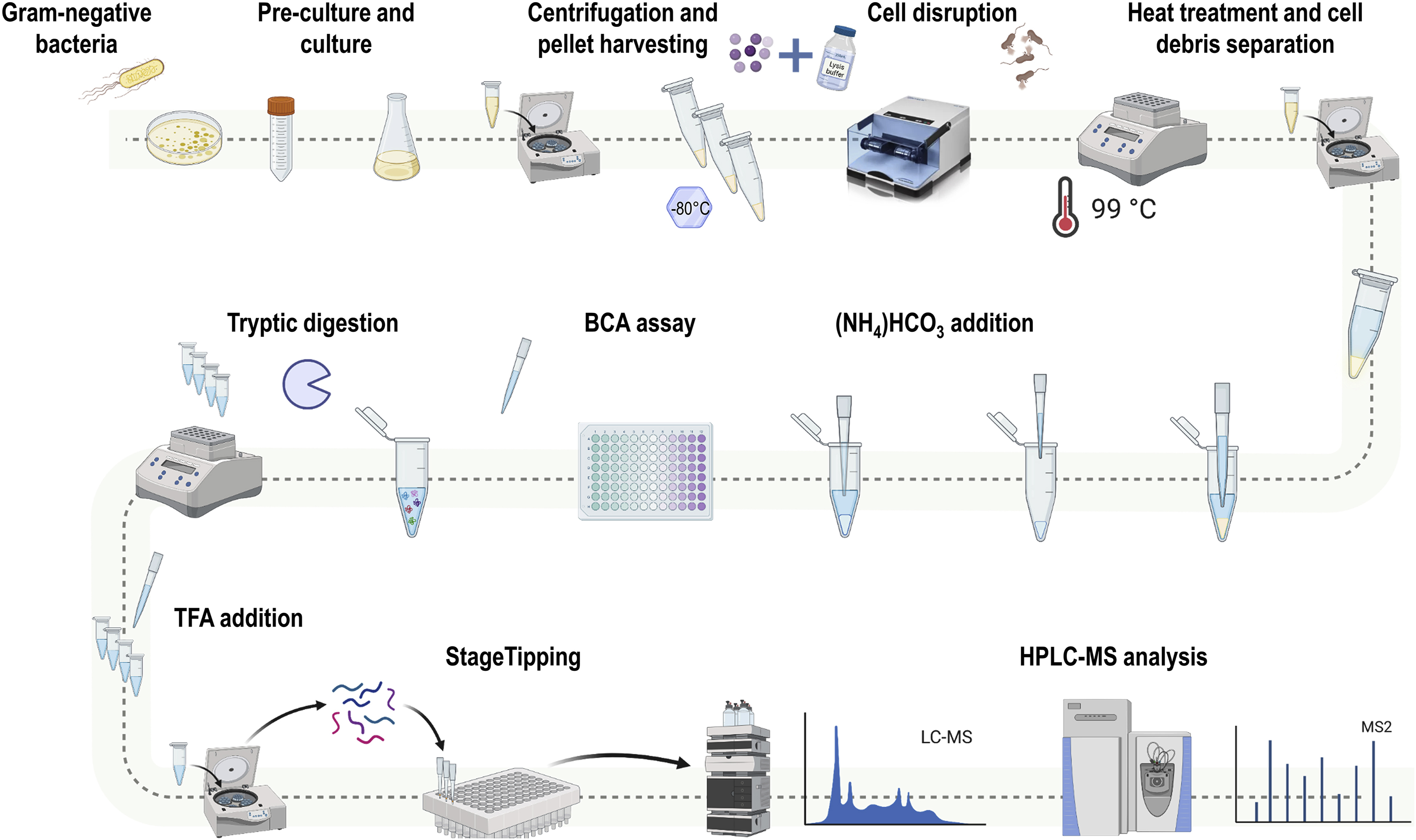 Cell Press: STAR Protocols