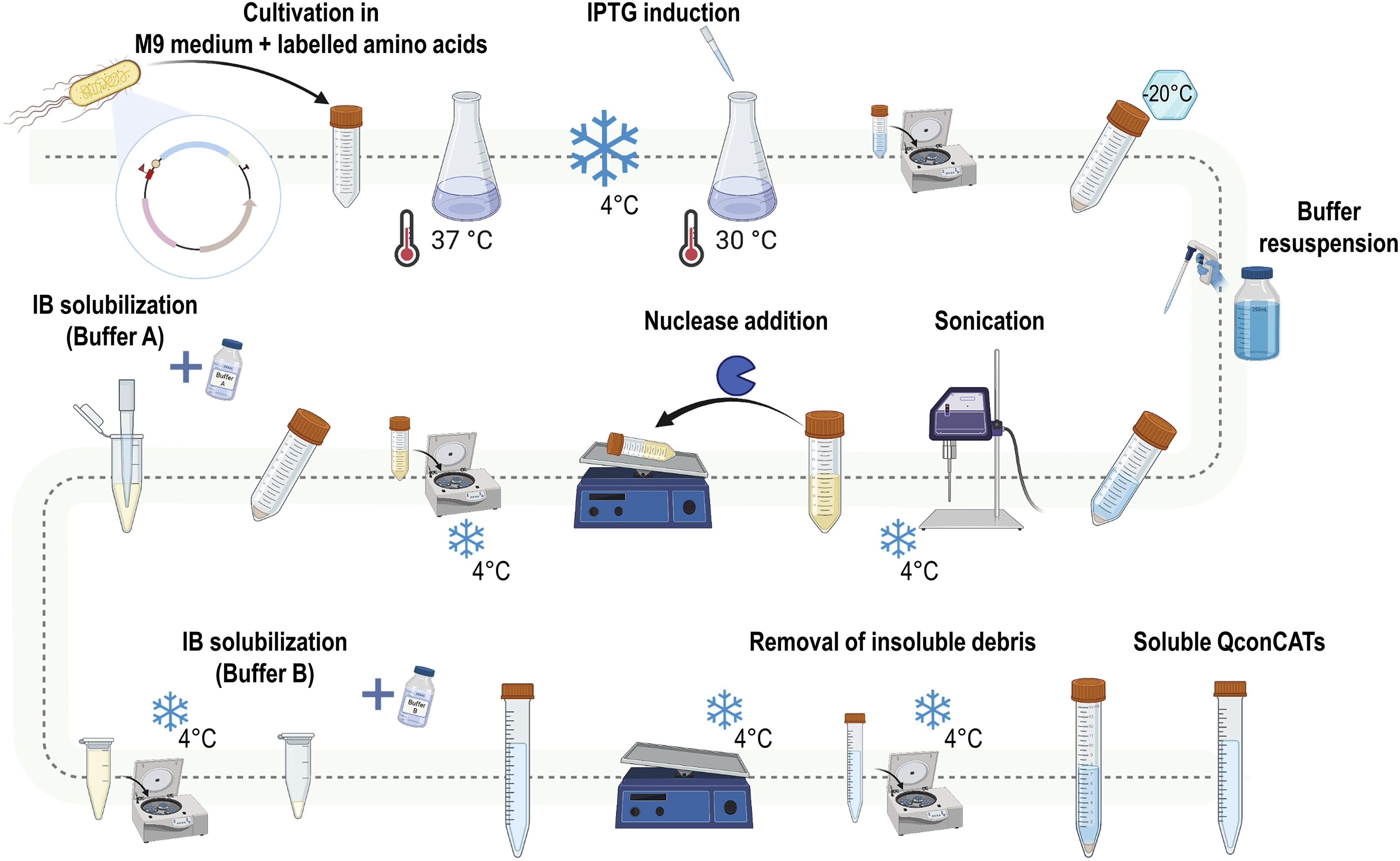 Cell Press Star Protocols