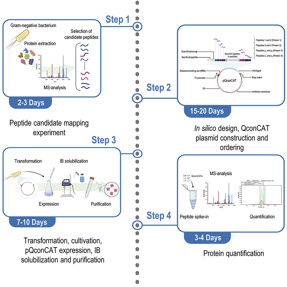 Cell Press Star Protocols