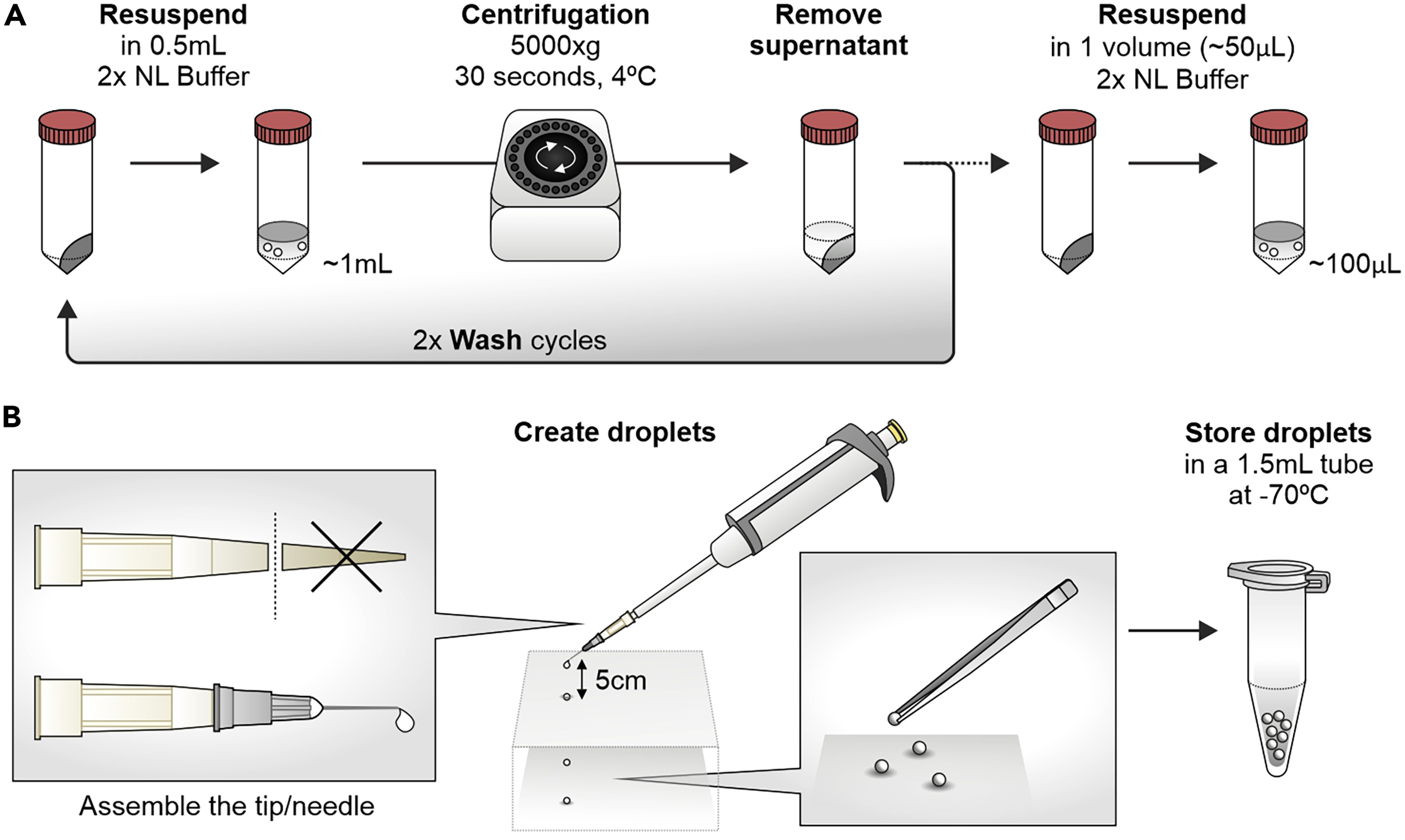 Cell Press: STAR Protocols